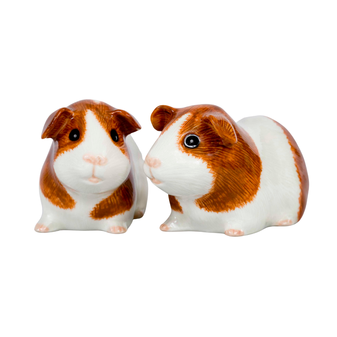 Salt og pipar sett - Guinea pig dutch – Purkhús
